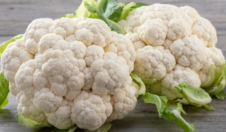 Gut Health Through Proper Nutrition